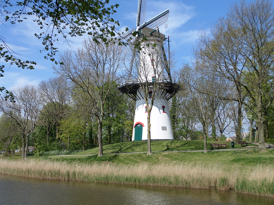 Foto 4 van De Hoop, Tholen, Luc Beets (17-4-2014) | Database ...